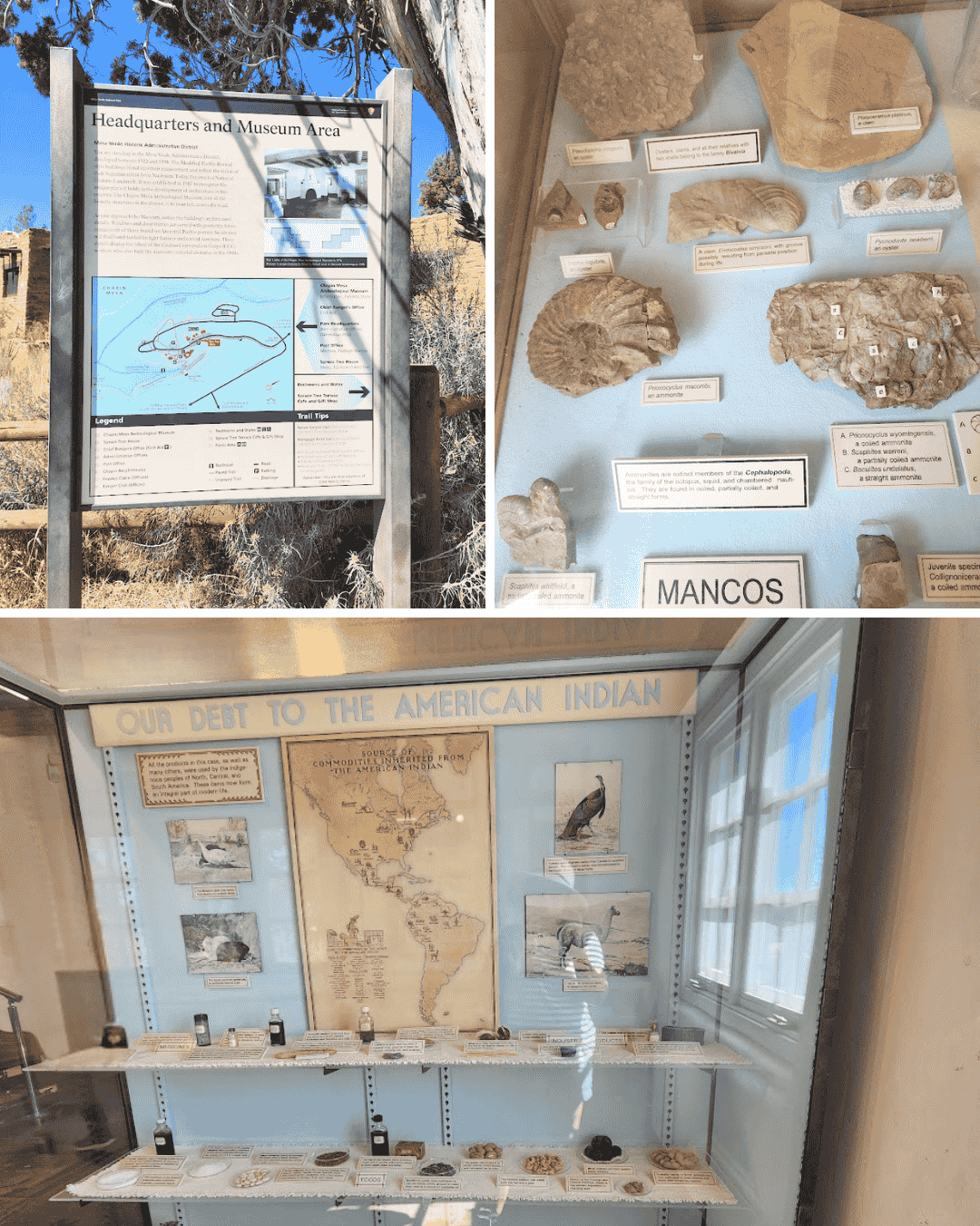 17 Marvelous Reasons to Visit Mesa Verde National Park - Unseen Colorado