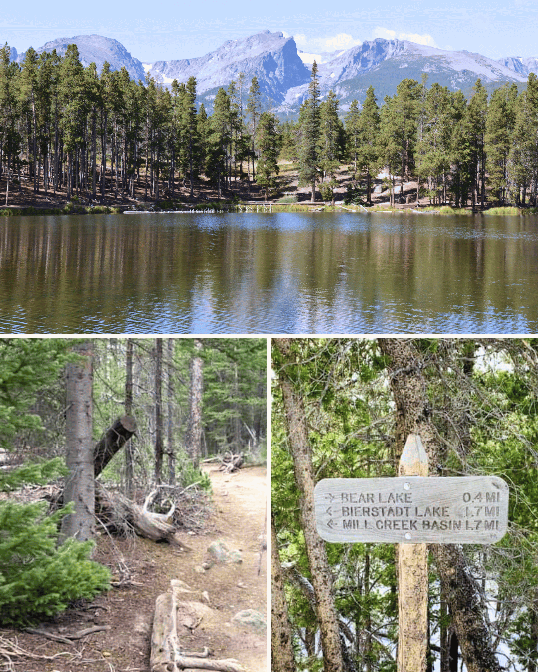 16 Best Things to do in Rocky Mountain National Park - Unseen Colorado