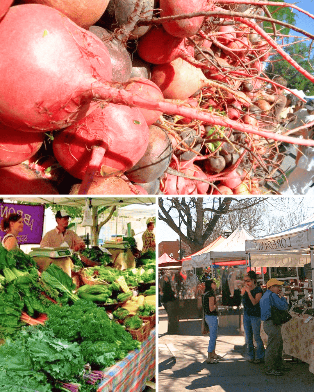 27 Best Things to do in Boulder, Colorado - Unseen Colorado