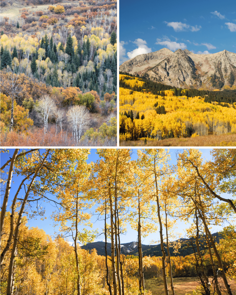 14 Best Places to See Fall in Colorado - Unseen Colorado