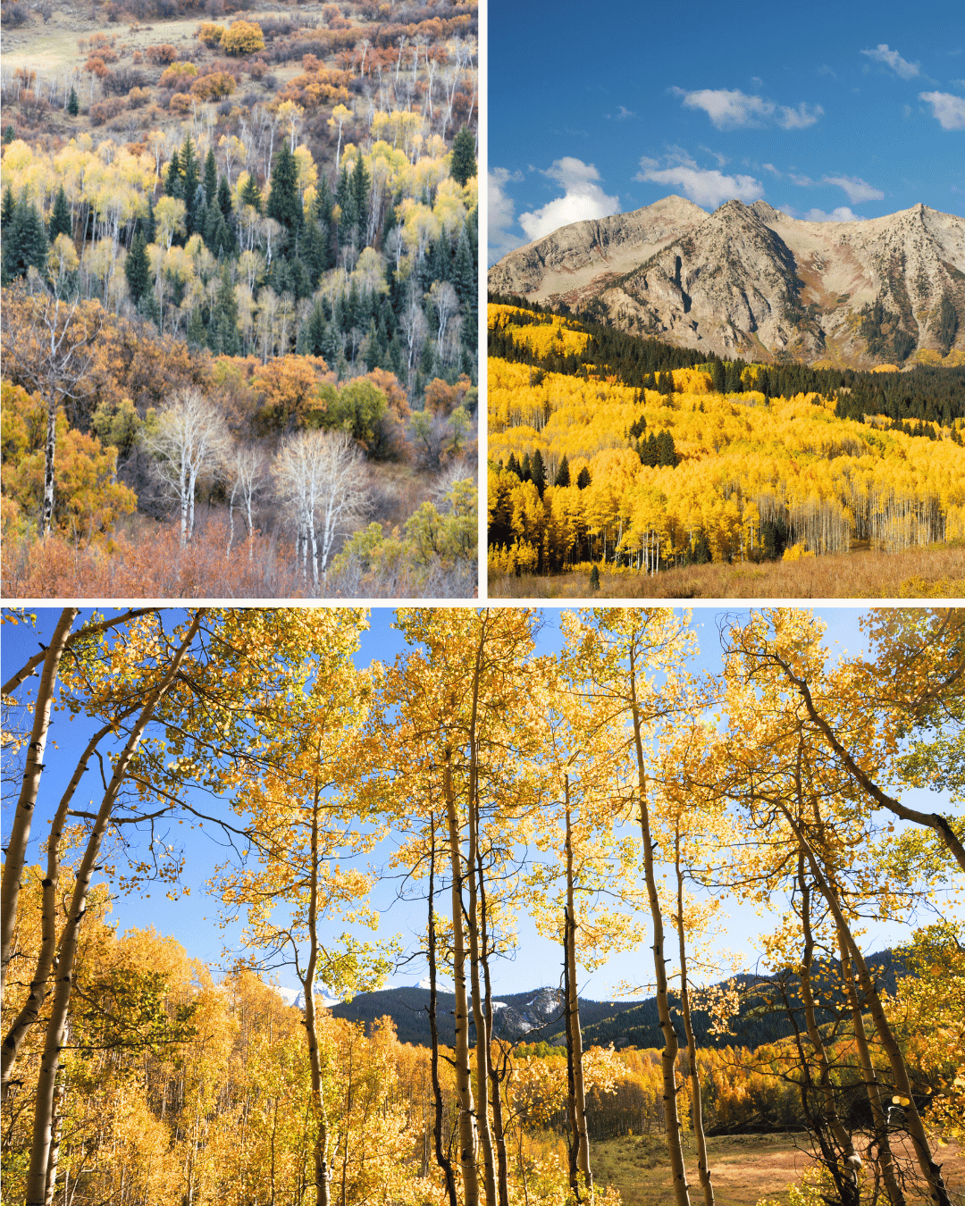 14 Best Places to See Fall in Colorado - Unseen Colorado