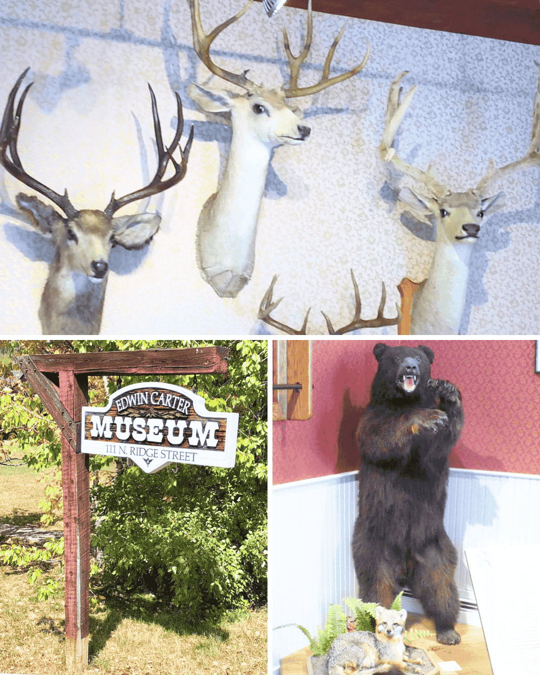 35 Best Things to do in Breckenridge, Colorado - Unseen Colorado