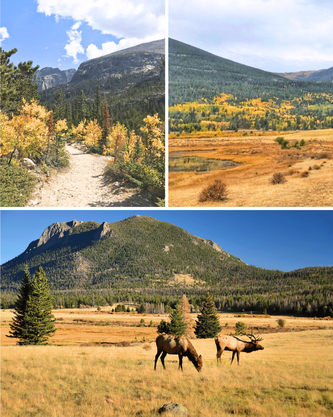 20 Best Fall Hikes in Colorado for Vivid Colors - Unseen Colorado