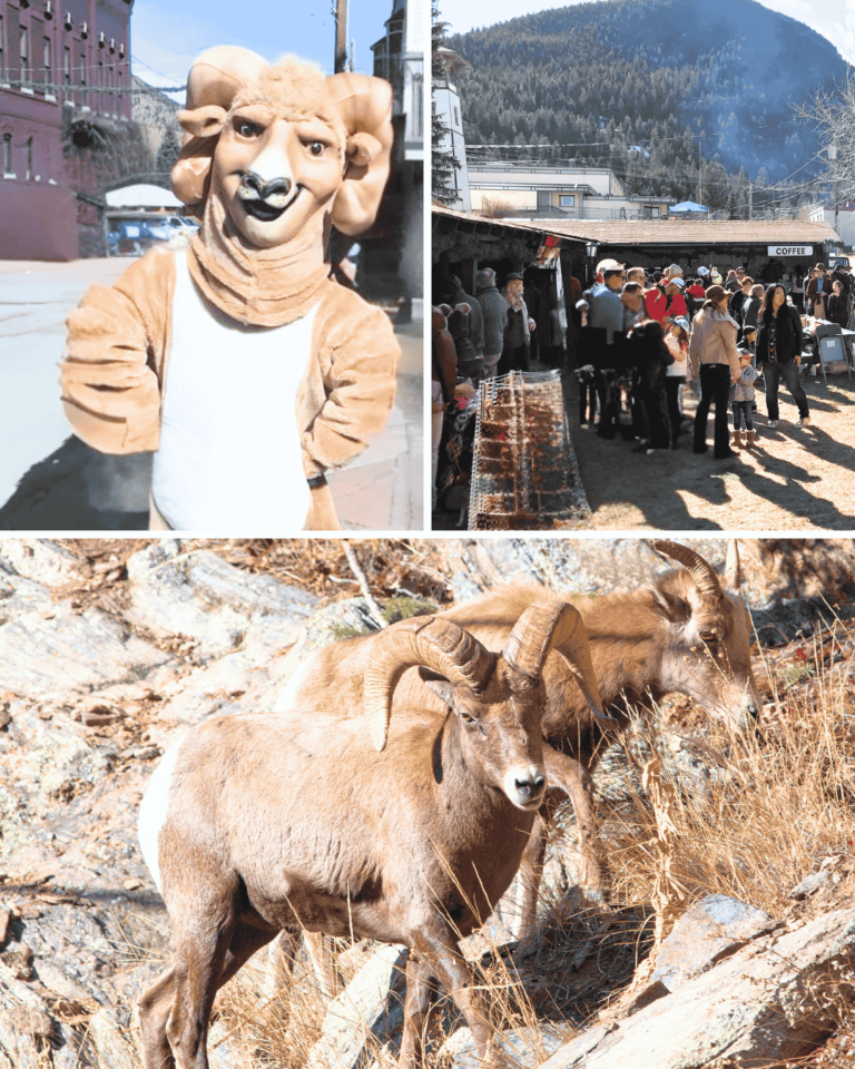 17 Best Things to do in Georgetown, Colorado - Unseen Colorado