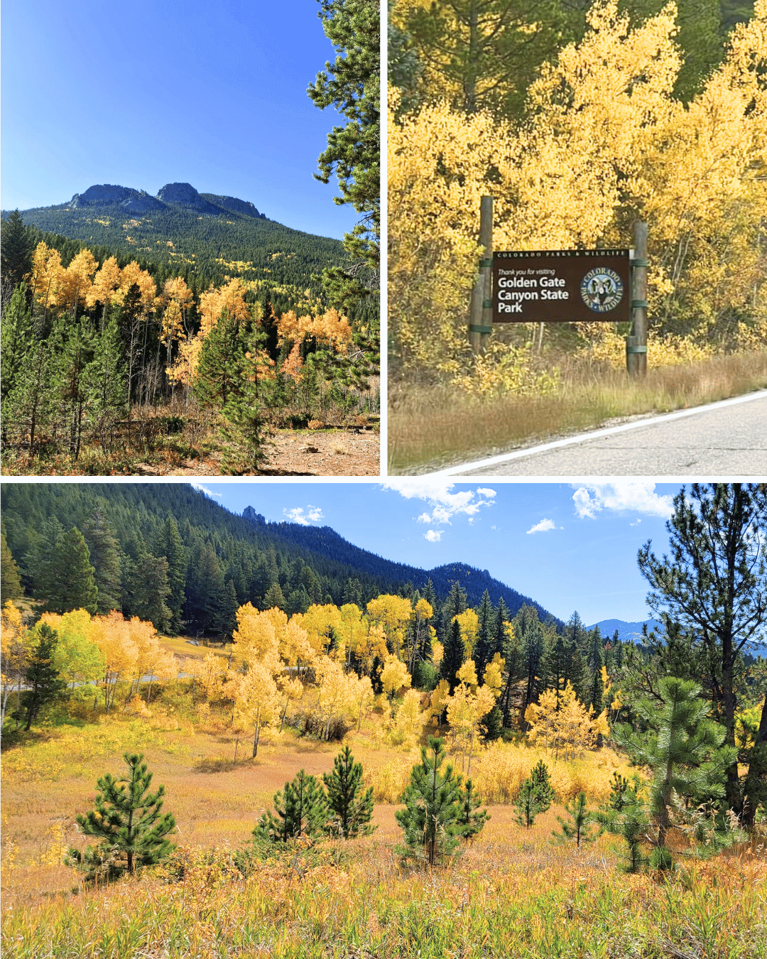 20 Best Fall Hikes in Colorado for Vivid Colors - Unseen Colorado