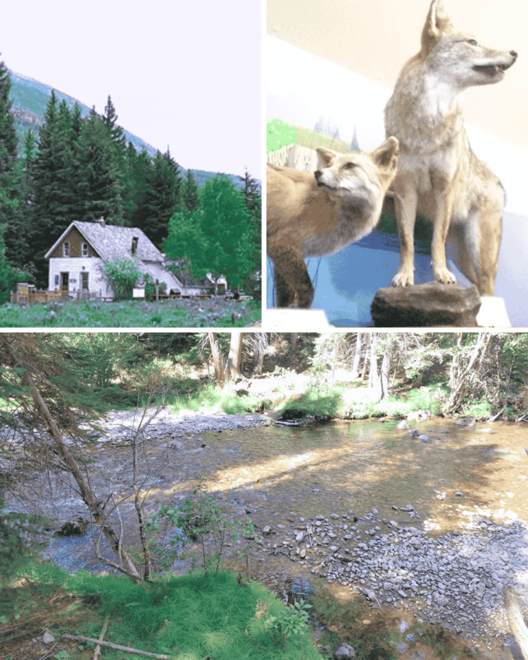 31 Best Things to do in Vail, Colorado - Unseen Colorado