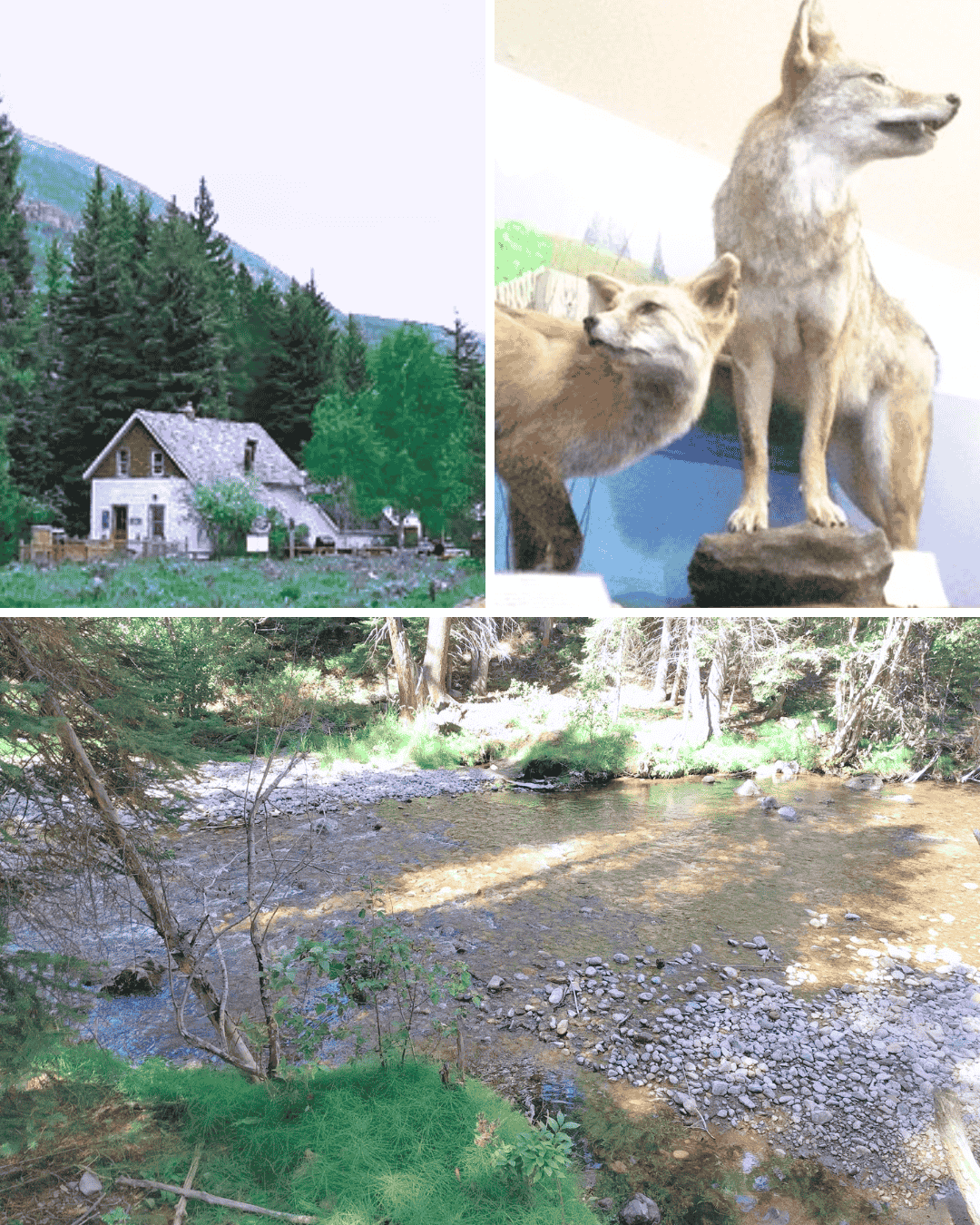 31 Best Things to do in Vail, Colorado - Unseen Colorado