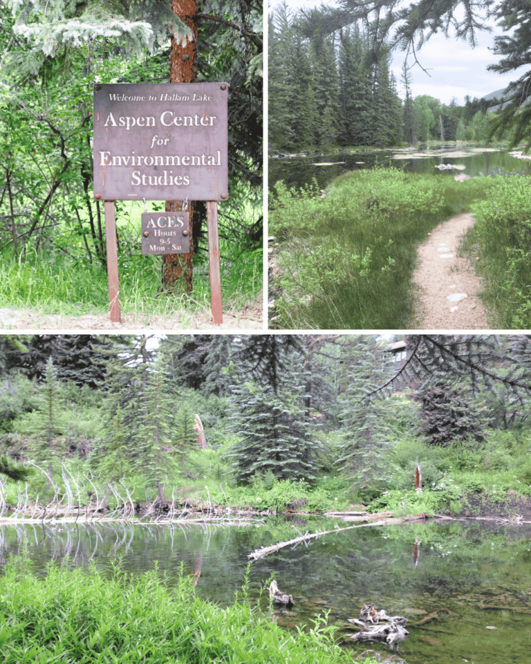 26 Best Things to do in Aspen, Colorado - Unseen Colorado