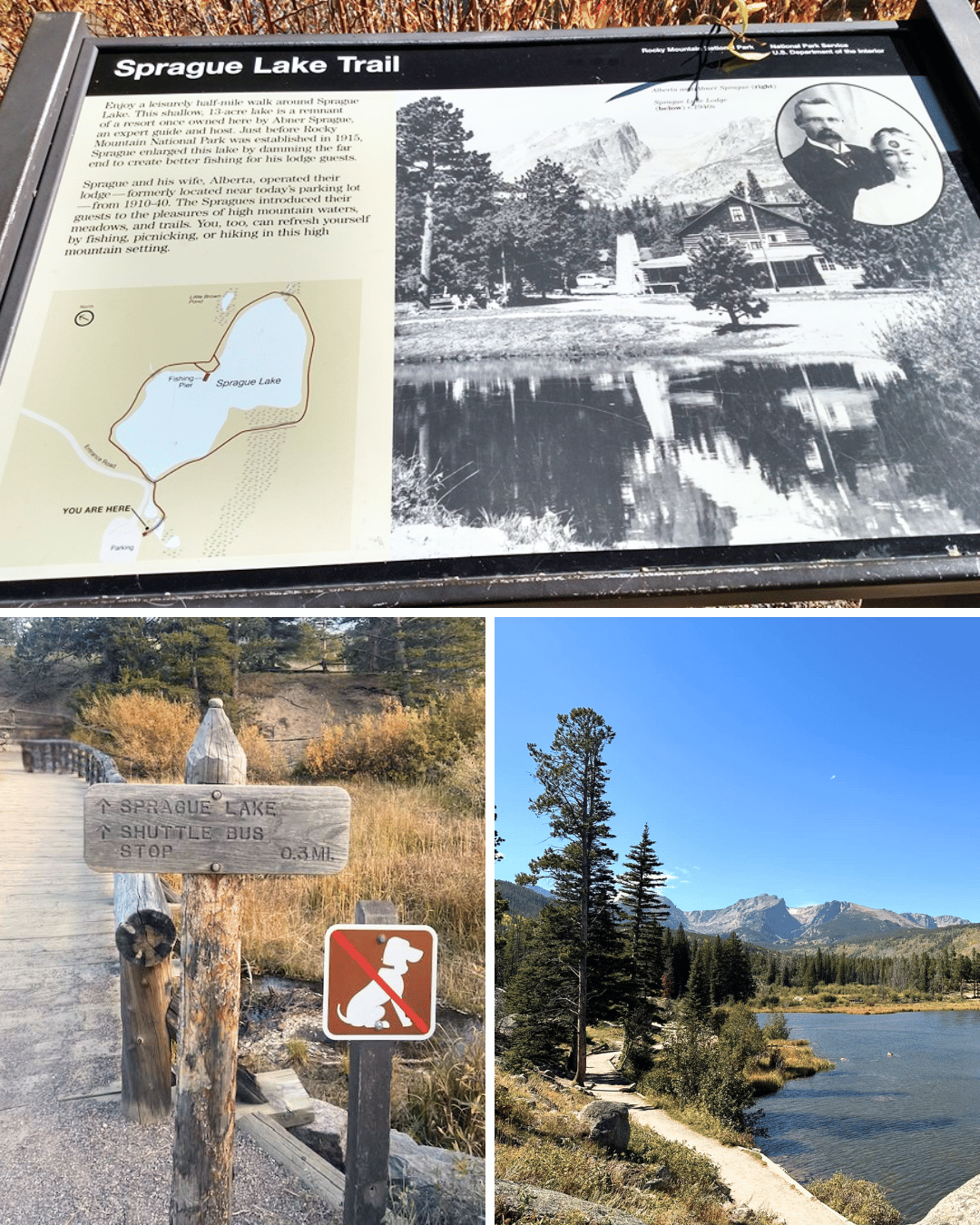 16 Best Things to do in Rocky Mountain National Park - Unseen Colorado