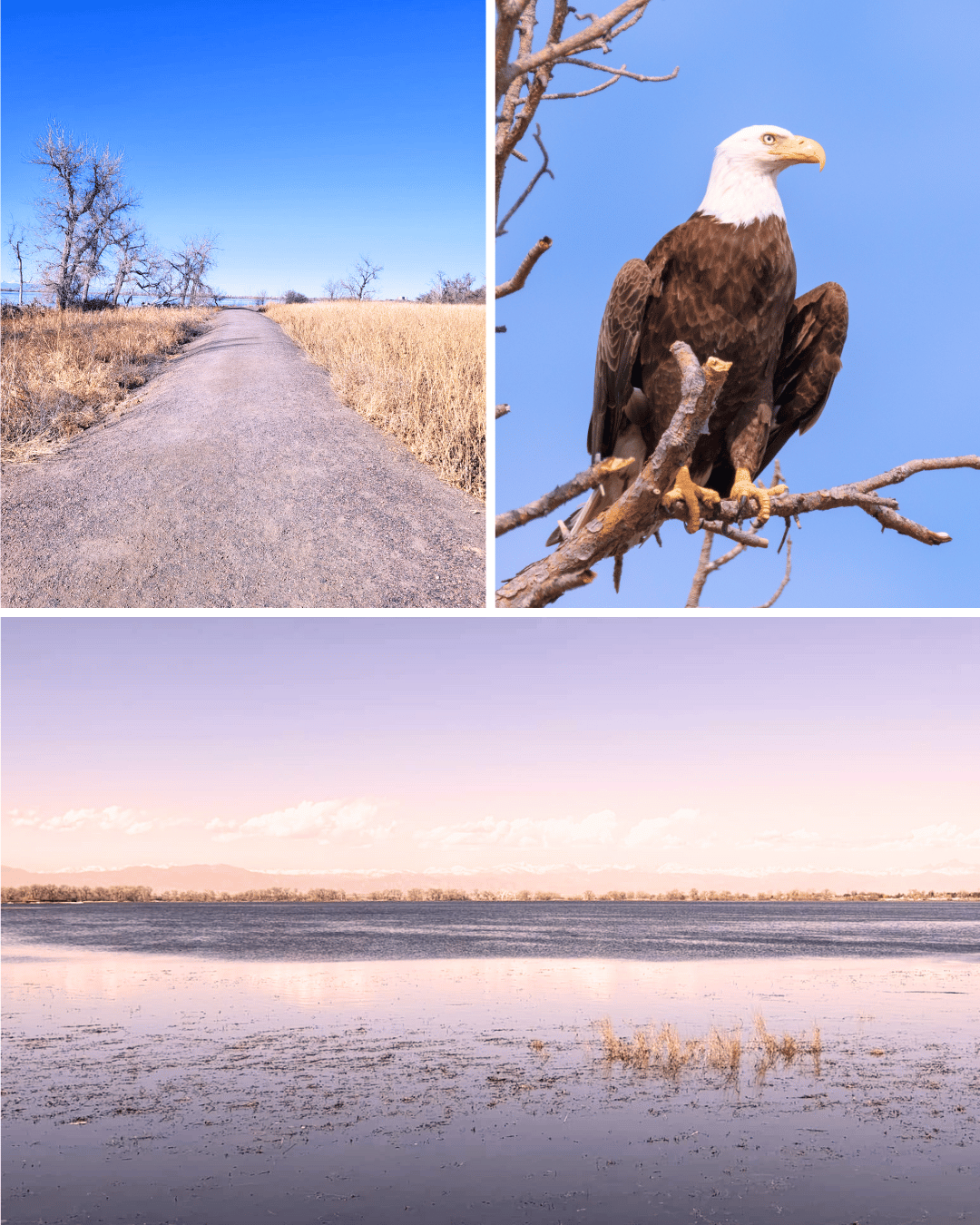 19 Best State Parks in Colorado for outdoor lovers - Unseen Colorado