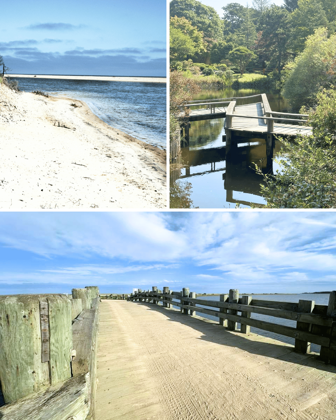 Explore Martha’s Vineyard: Beaches, Lighthouses, and Hidden Gems ...