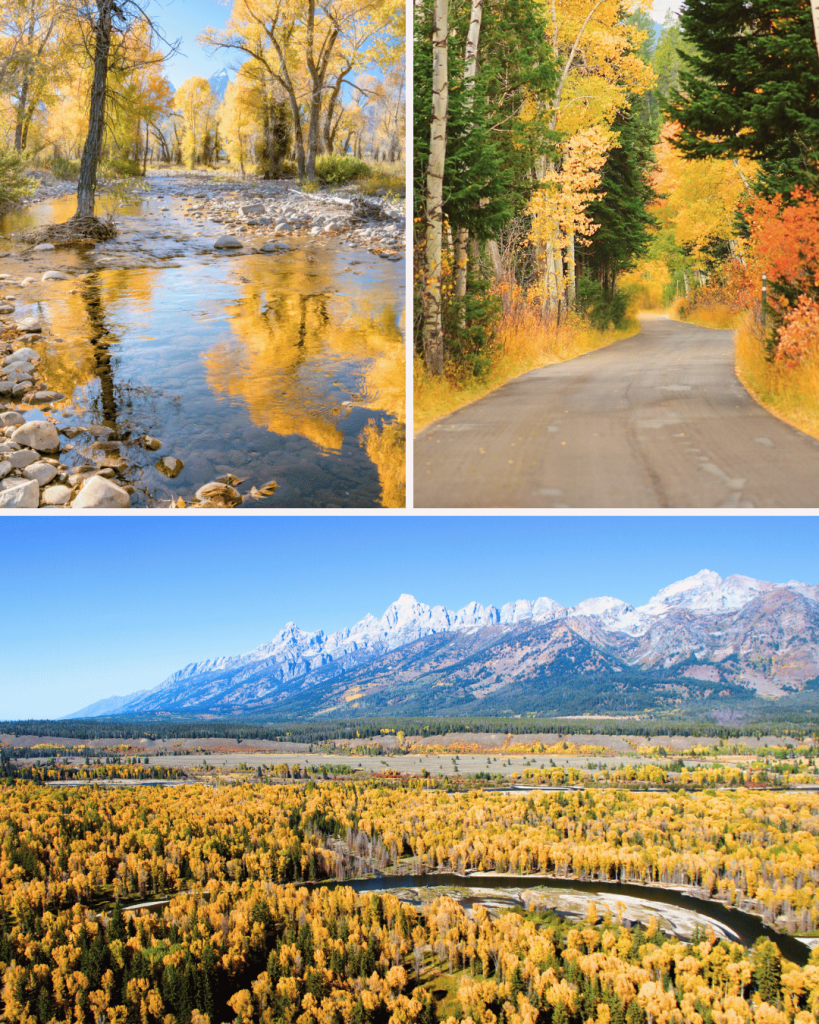 Top 15 U.S. National Parks for Fall Foliage - Unseen Colorado