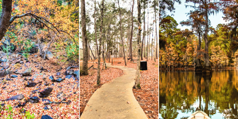 Where to Catch Texas’ Best Fall Colors - Unseen Colorado