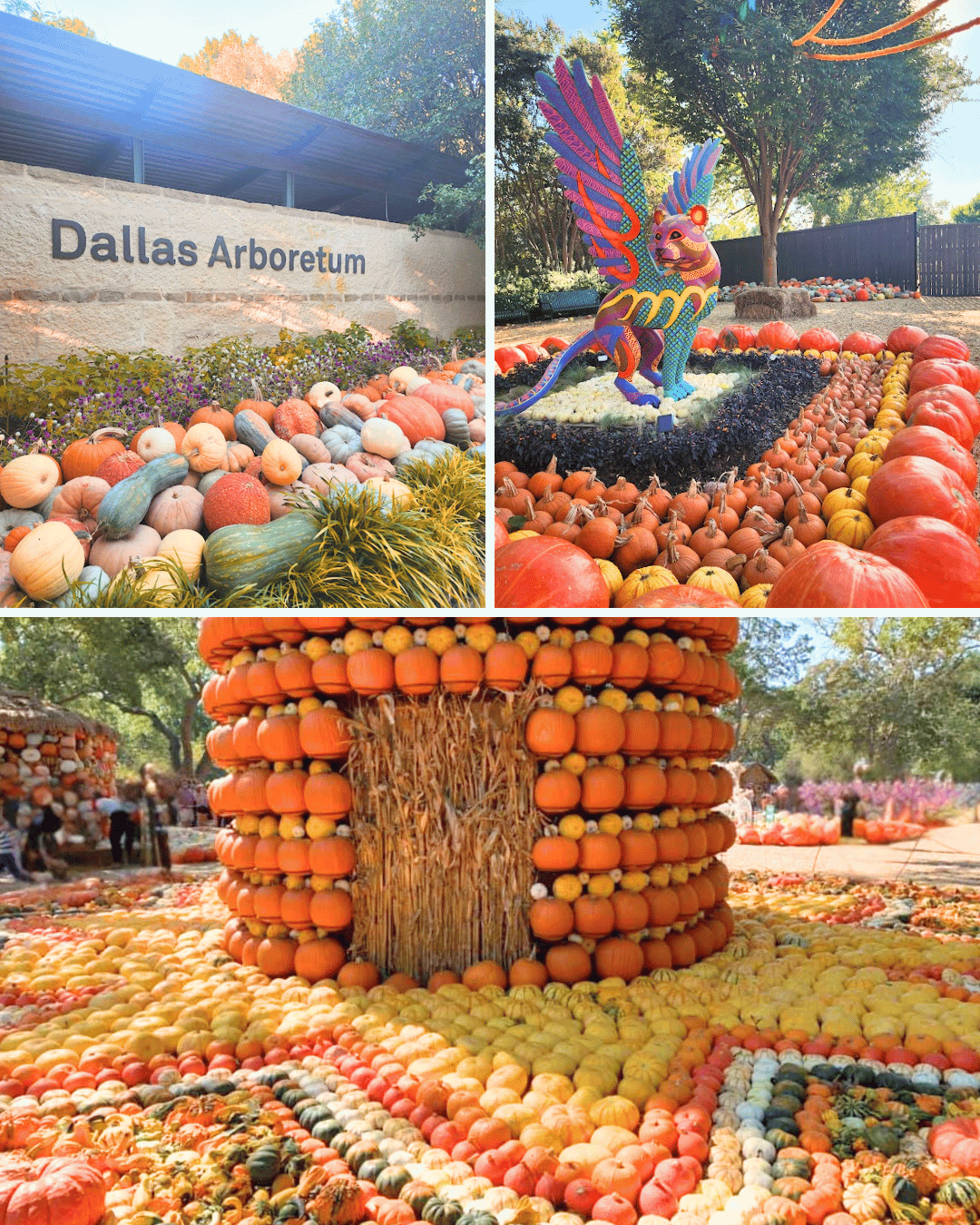 Where to Catch Texas’ Best Fall Colors - Unseen Colorado