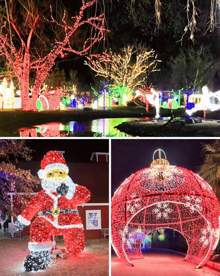 11 Top Christmas Things to Do in Denver - Unseen Colorado