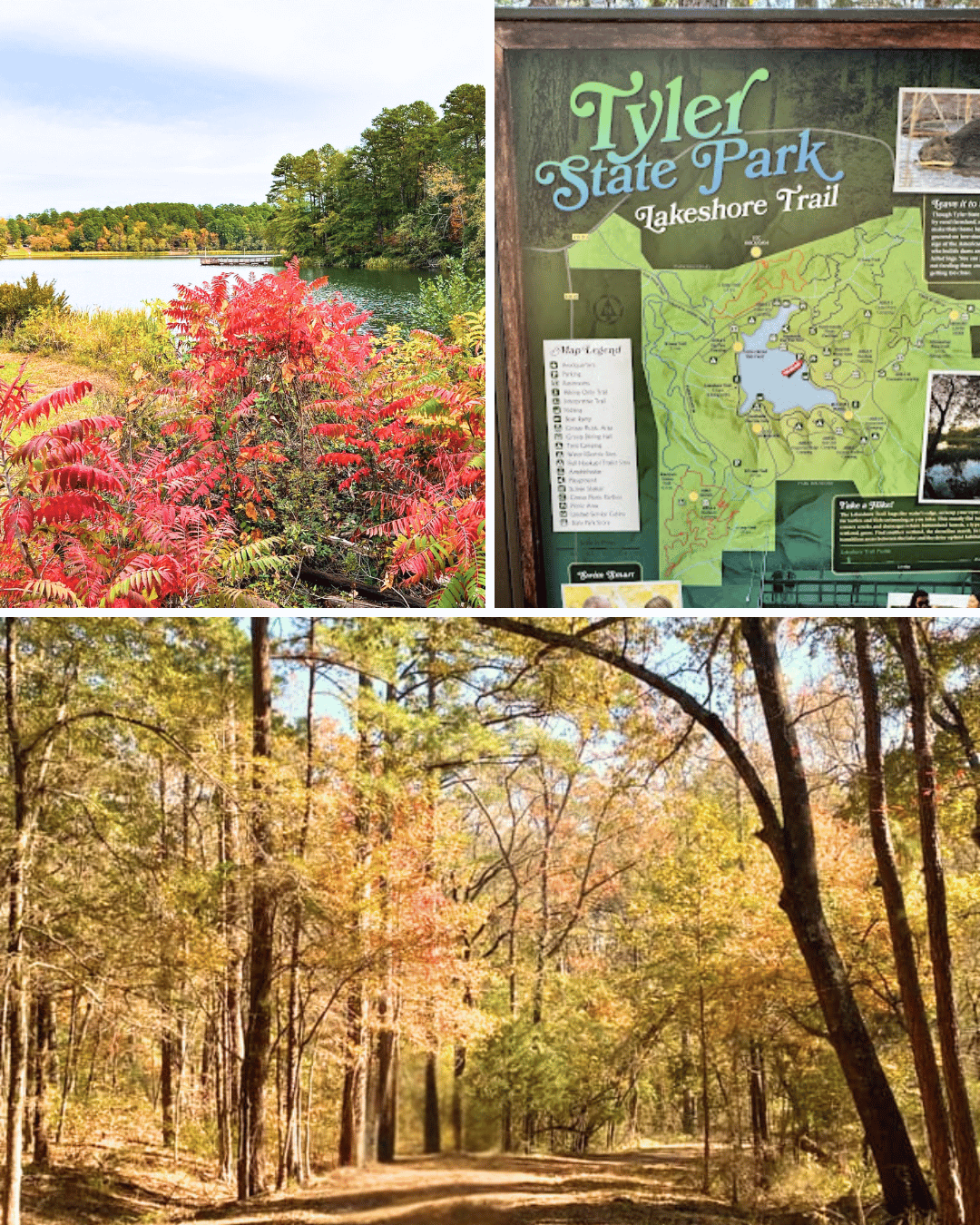 Where to Catch Texas’ Best Fall Colors - Unseen Colorado